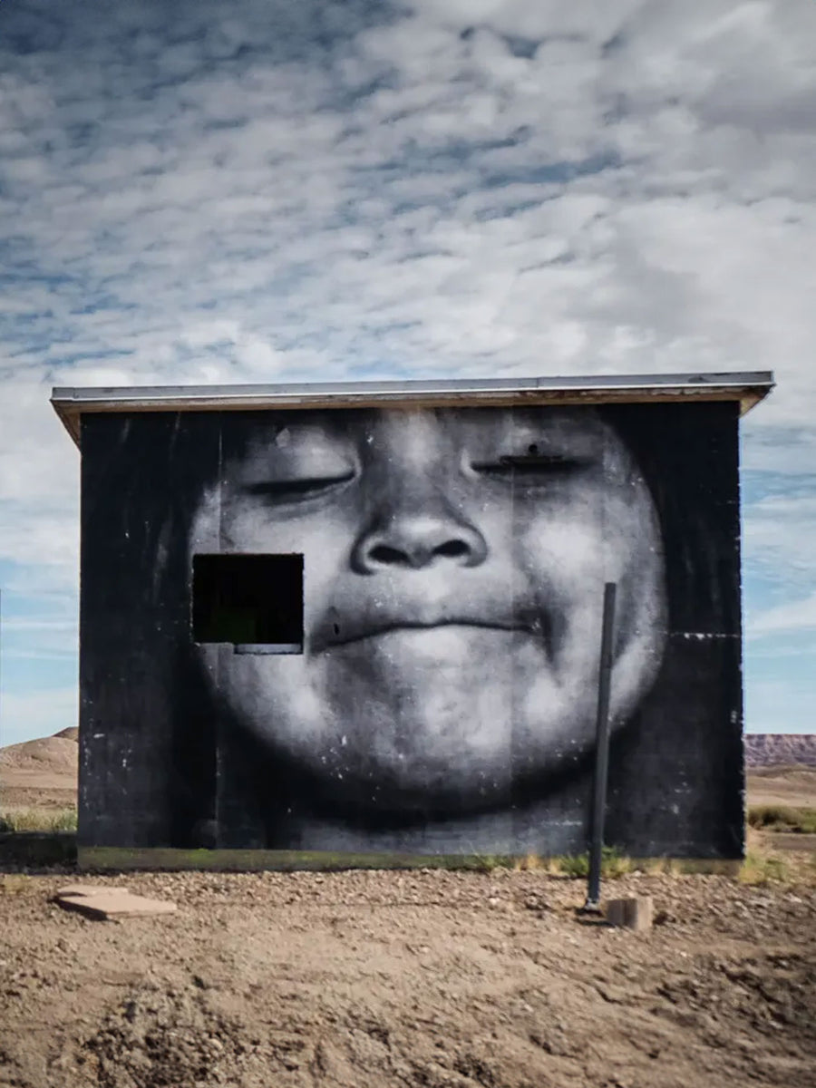The Painted Desert Project: Art in the Heart of the Navajo Nation – The ...